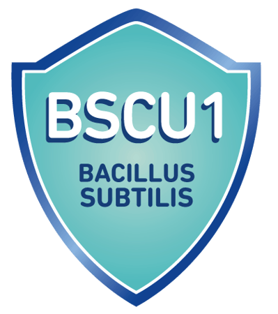 BSCU1 Brochure - EMPOWER YOURSELF