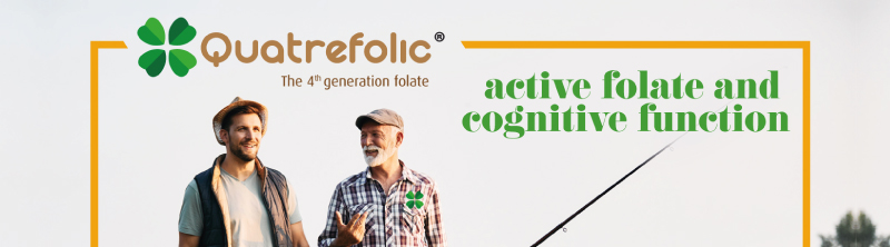 Quatrefolic® 360° collection: Active Folate and Cognitive Function